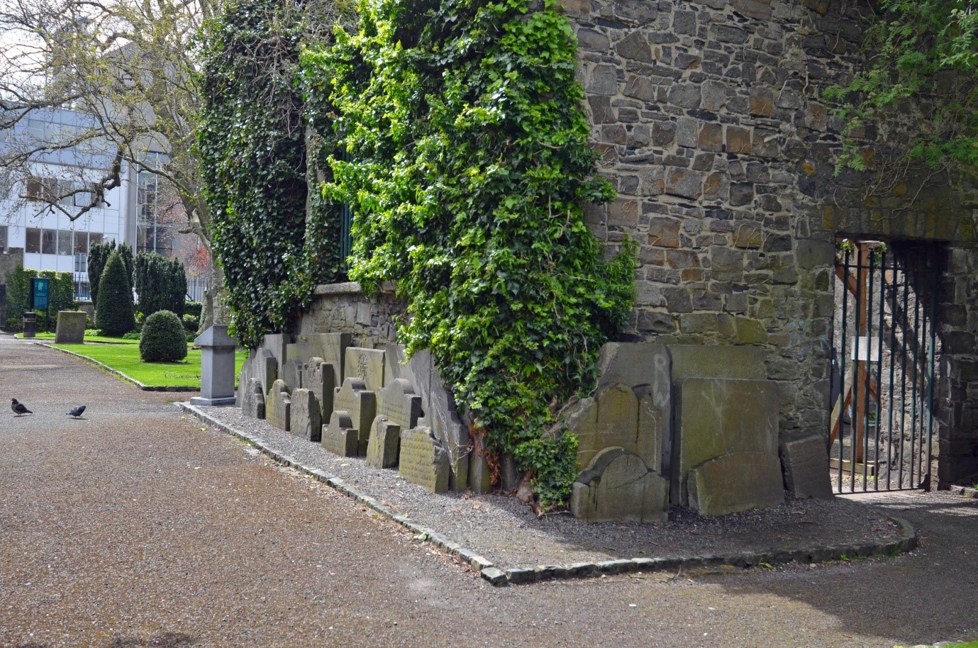 James Crowe of Clare and Dublin: a forgotten branch | Crowe Family History